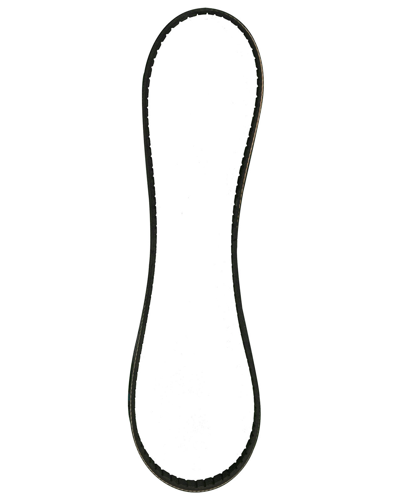 CP Performance - Serpentine Belt