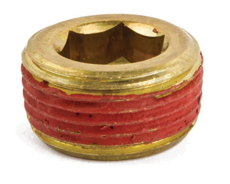 CP Performance - Plug