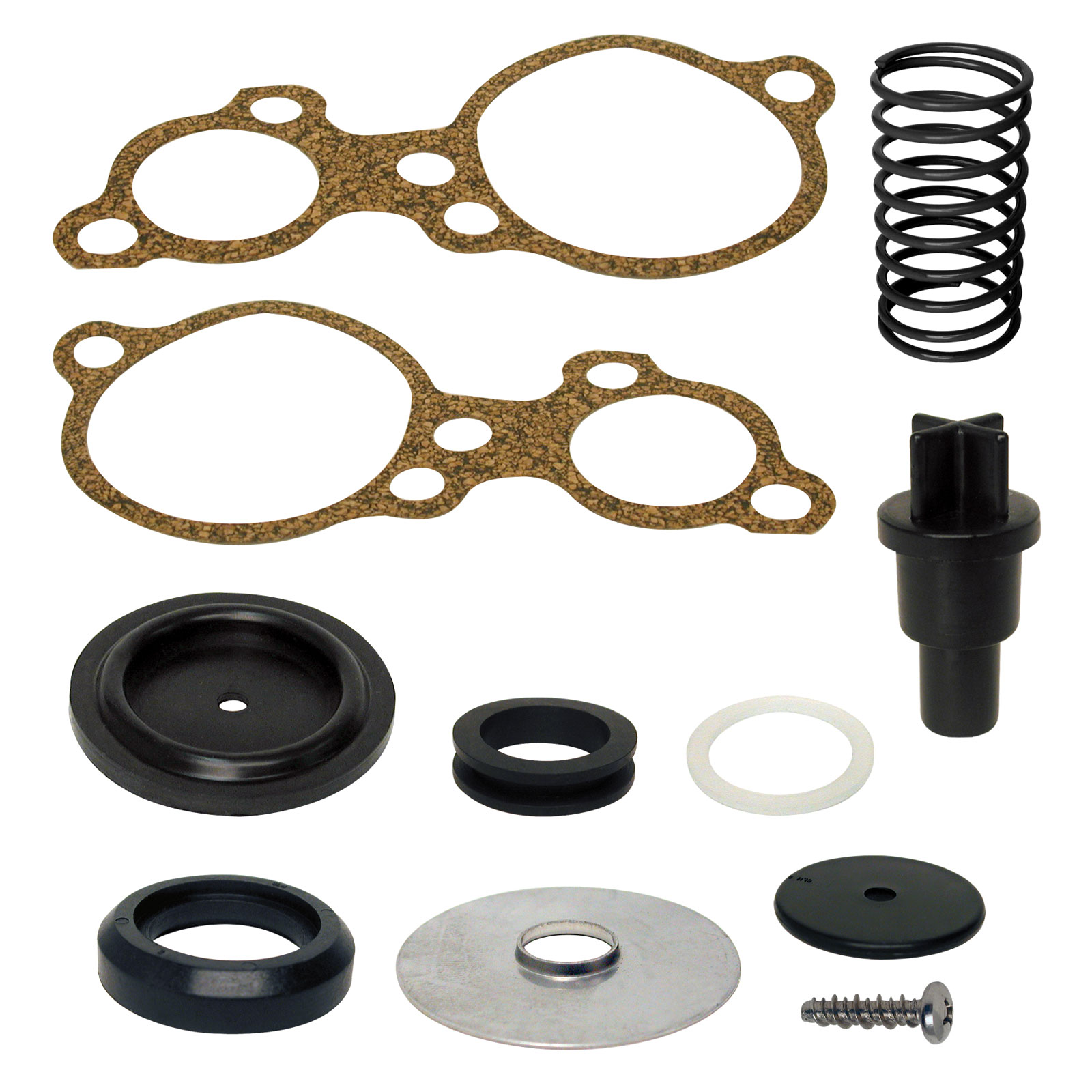 CP Performance - Poppet Valve Kit 803062T1
