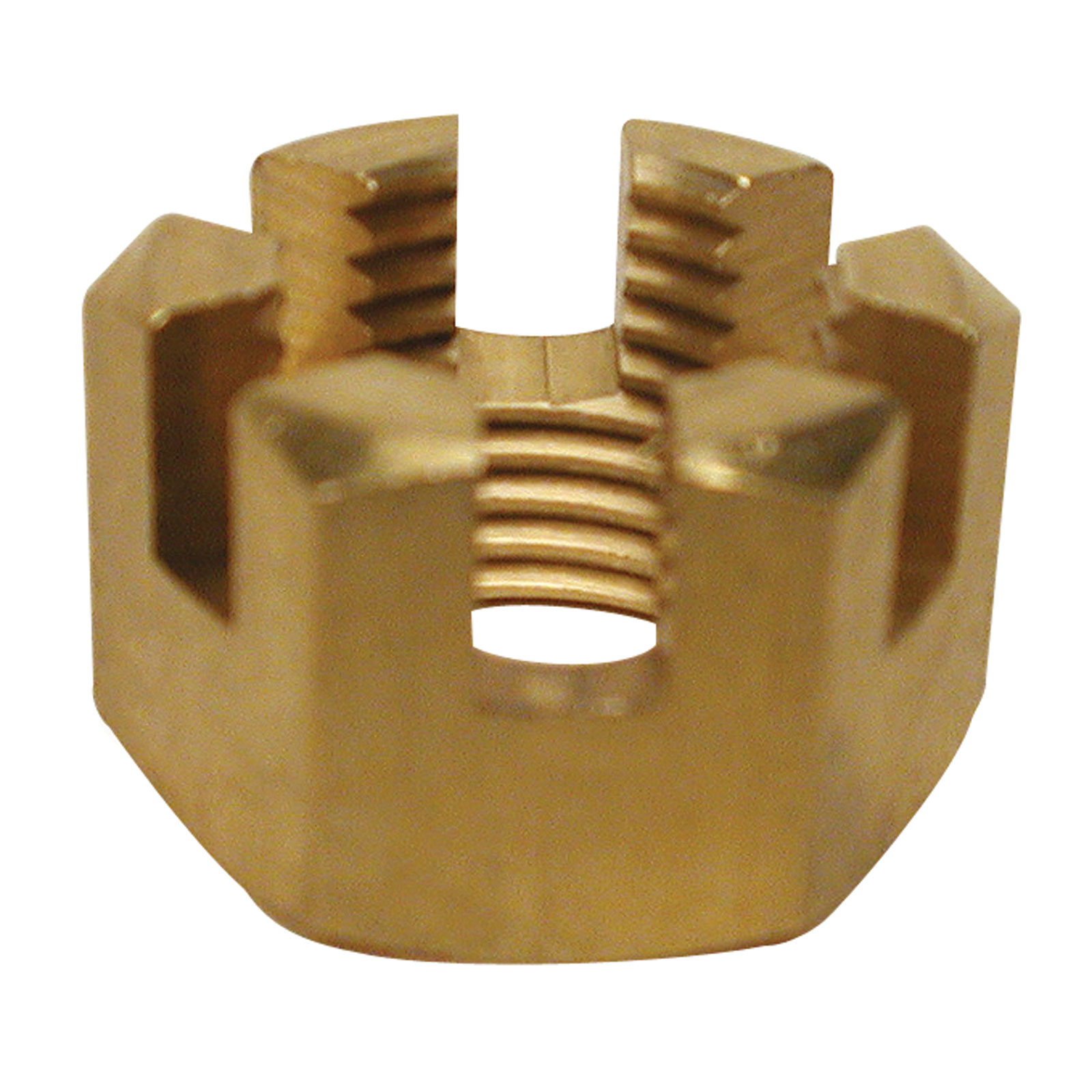 CP Performance - Nut
